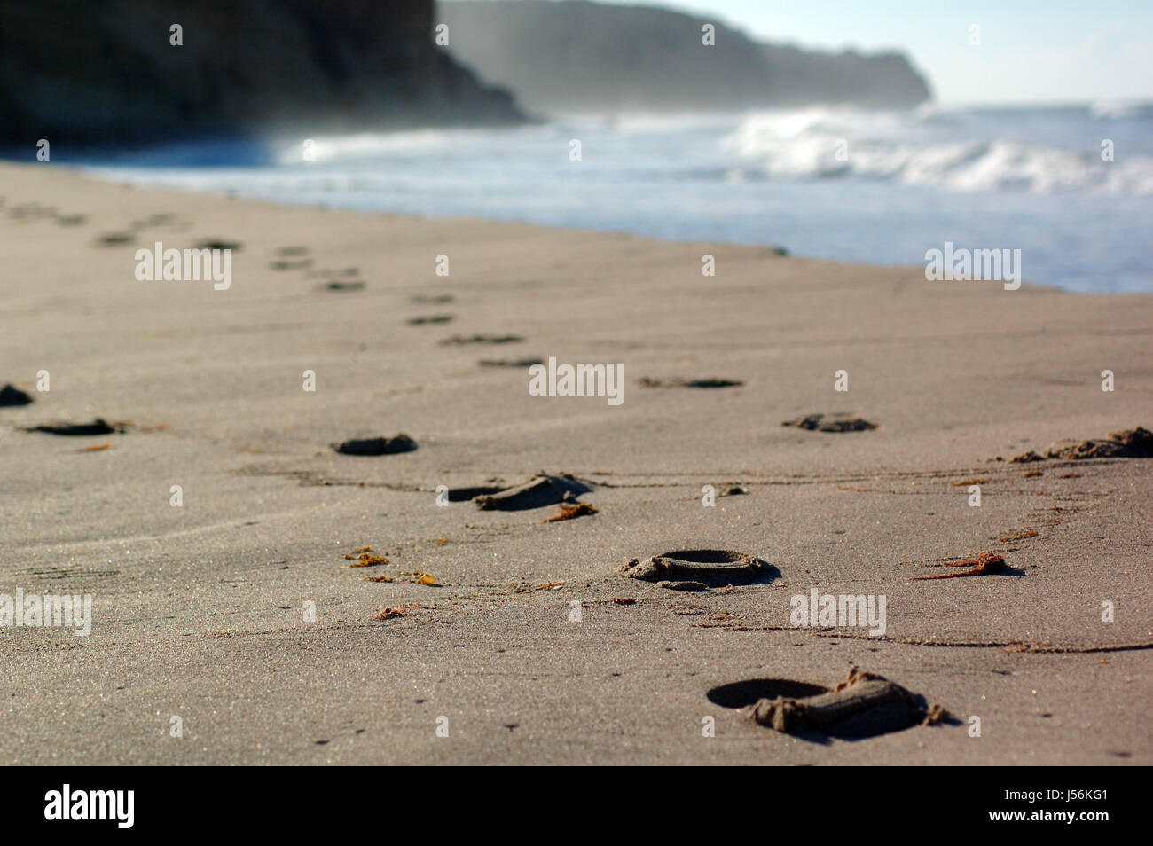 tracks on the beach Stock Photo - Alamy