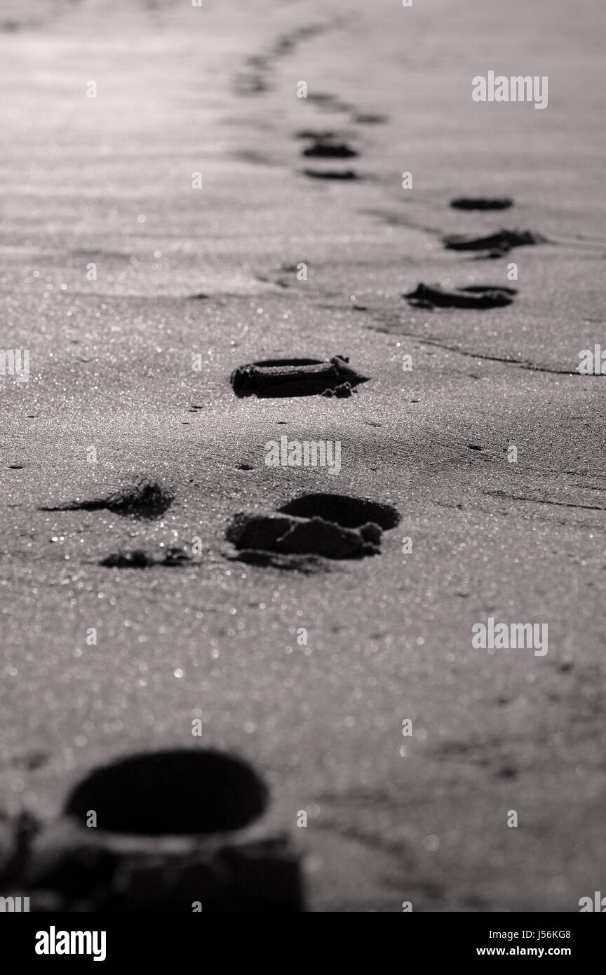 holiday vacation holidays vacations cold beach seaside the beach ...
