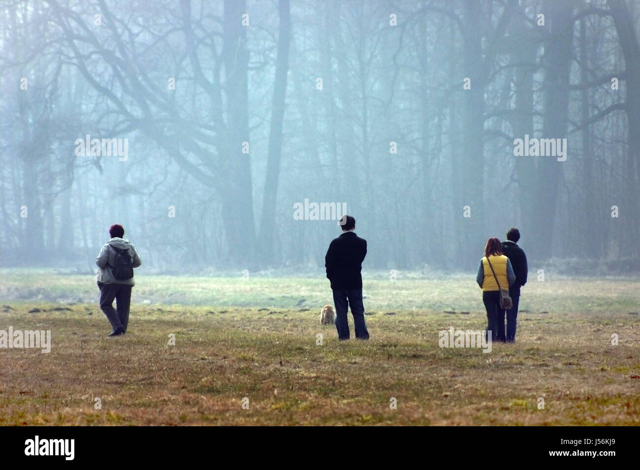 humans human beings people folk persons human human being walk go going ...