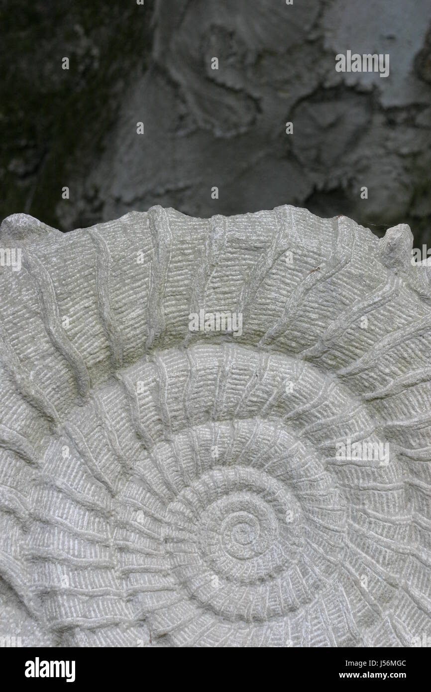 art work of art statue sculpture spiral snail snail shell stonemason ...