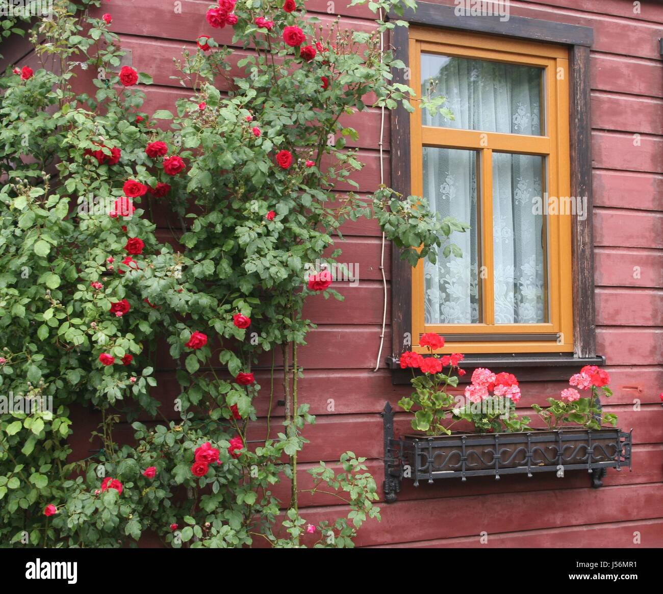 house building window porthole dormer window pane flower flowers plant ...