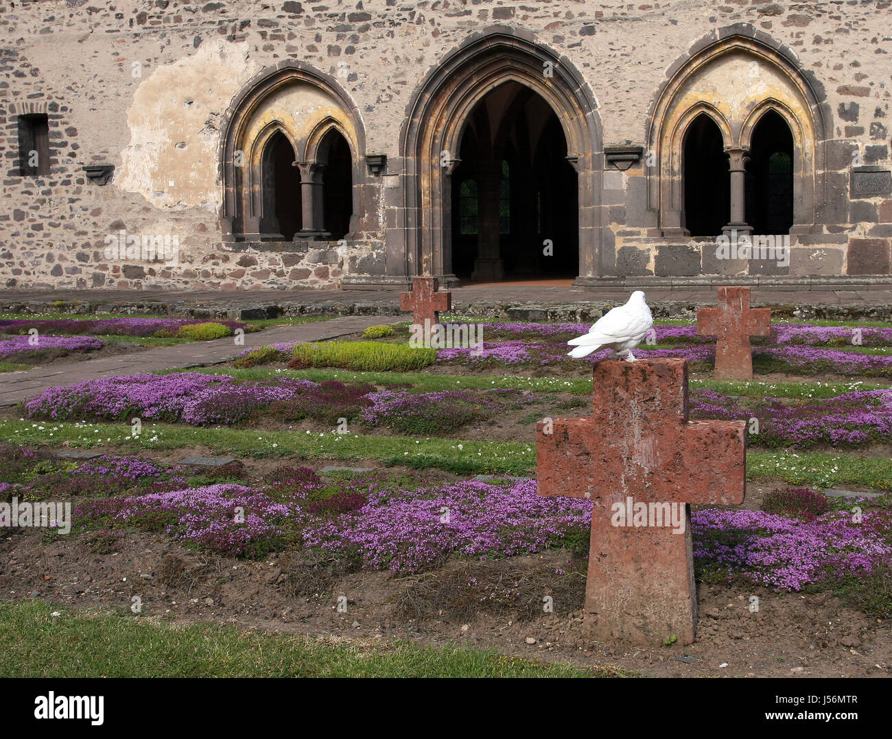bird birds cemetery hesse ruin graves monastery peace tombstones pigeon ...
