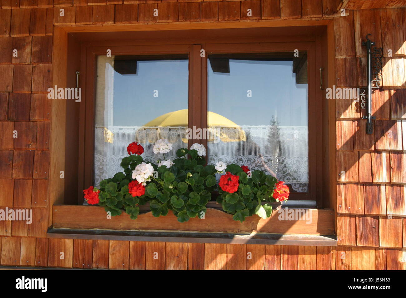 mountains window porthole dormer window pane wood flower flowers plant ...