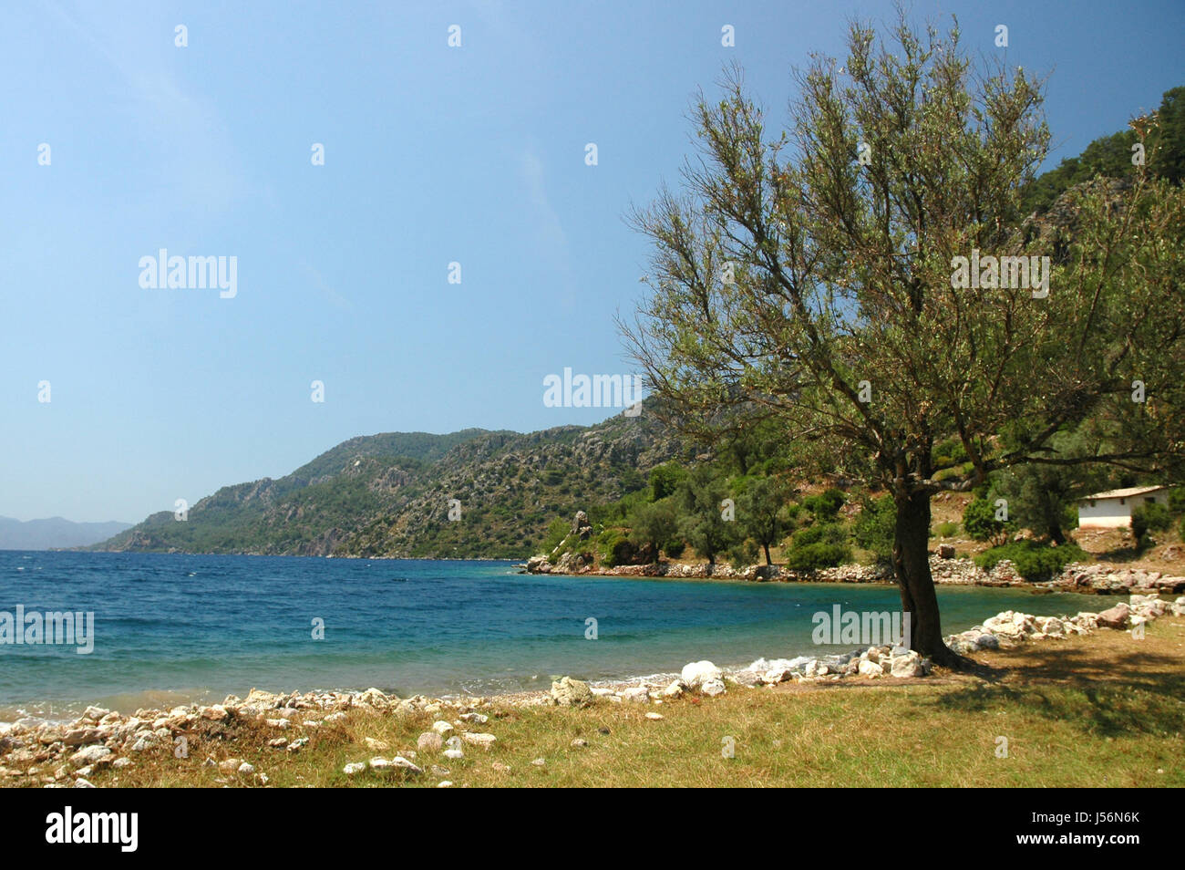 near the sea Stock Photo - Alamy