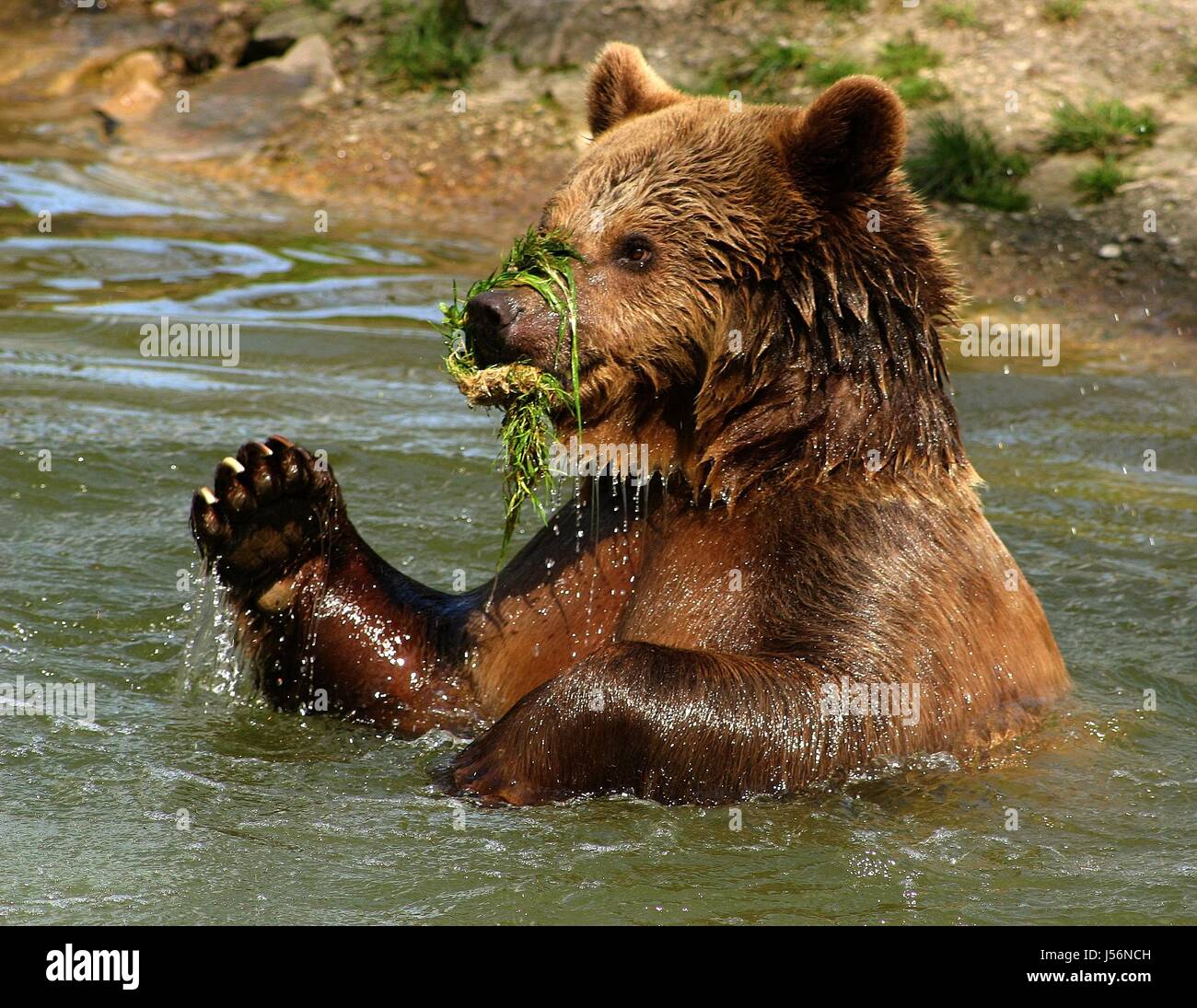 Surfaced hi-res stock photography and images - Alamy