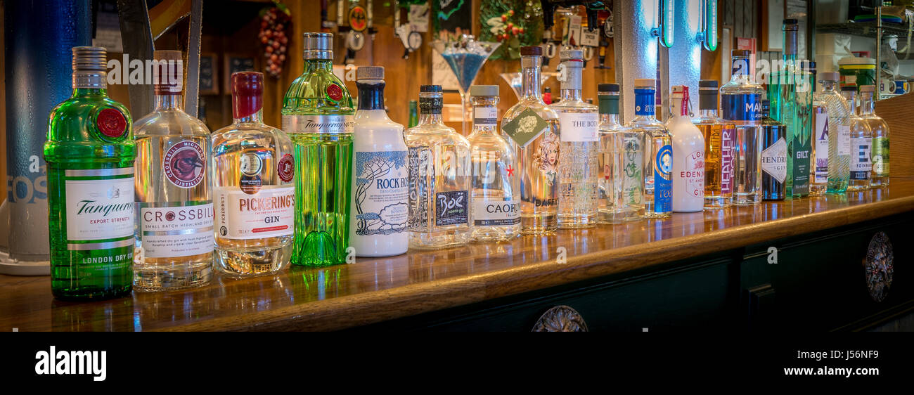 Gin from a distillery on the New Scottish Gin Trail. On the bar at The ...