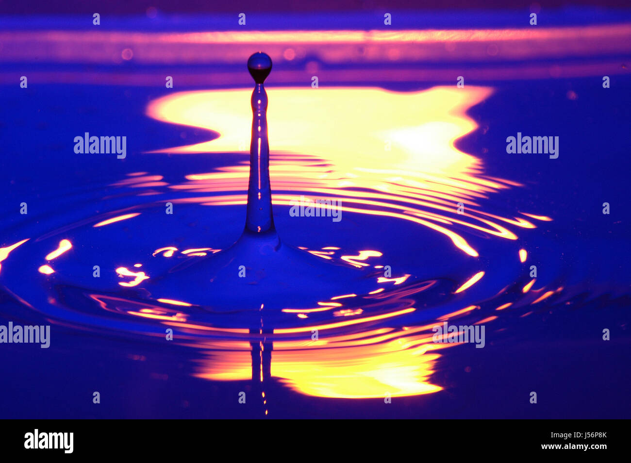 water drops at sunset Stock Photo - Alamy