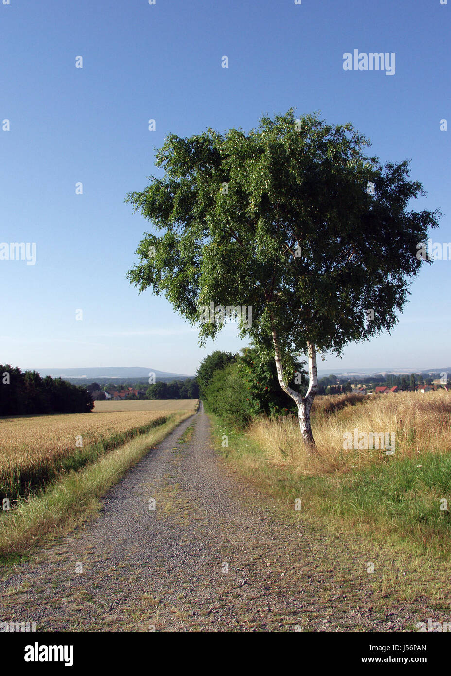 the box mark Stock Photo - Alamy