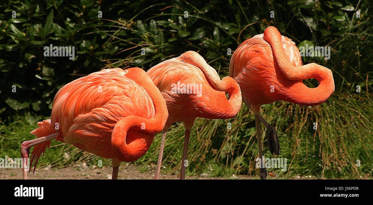 the 3 of the catch point Stock Photo - Alamy