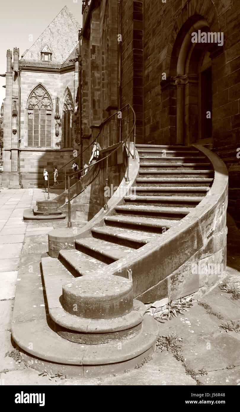 stairs humans human beings people folk persons human human being big ...