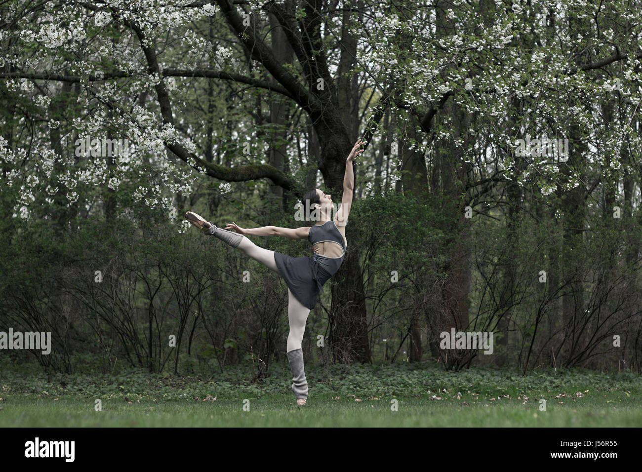 Nature & Ballet Stock Photo - Alamy