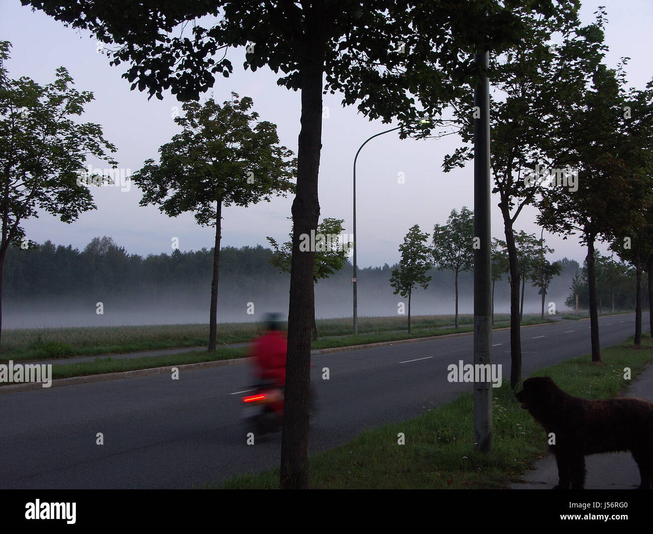 Early ferries hi-res stock photography and images - Alamy