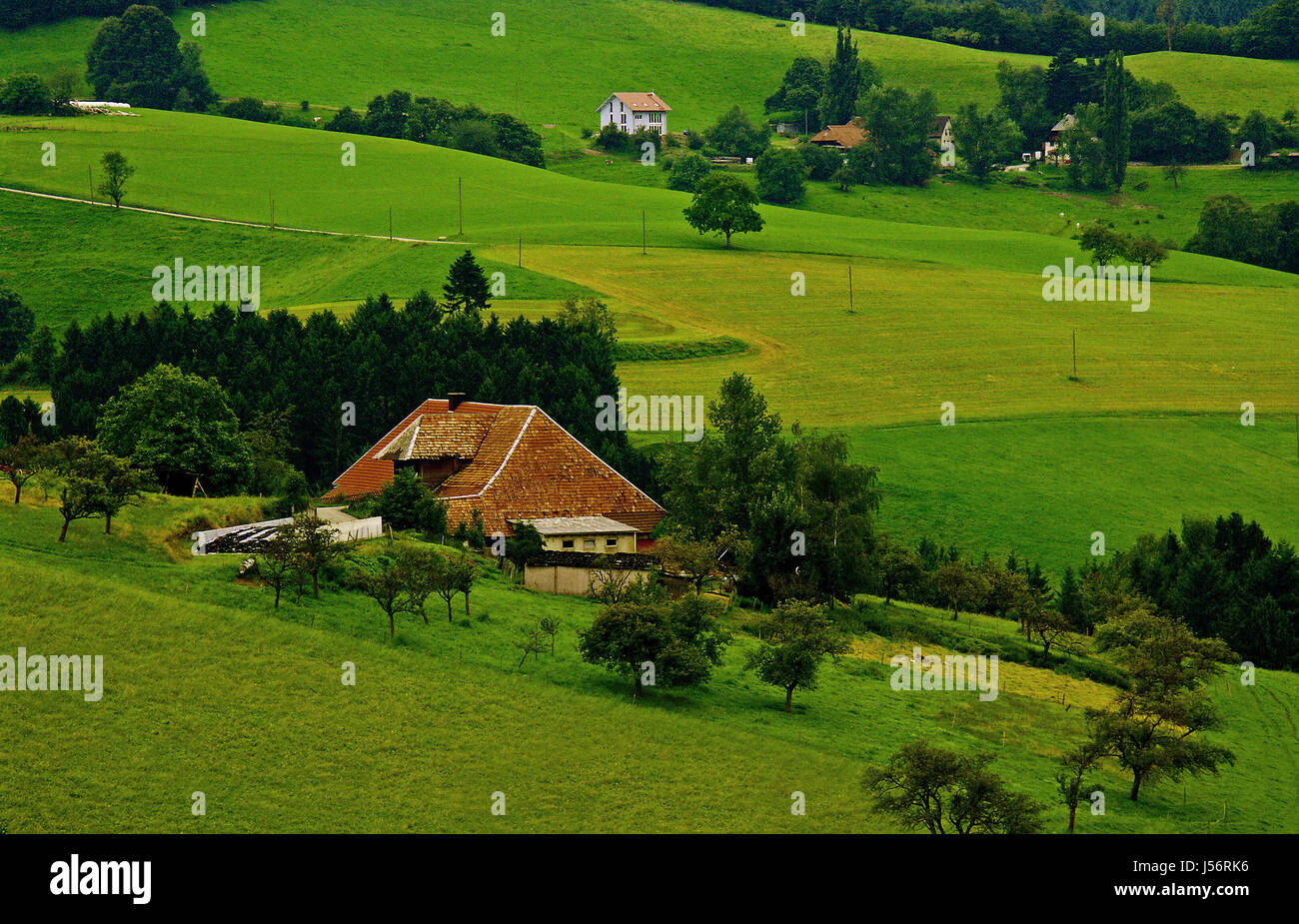 black forest oasis Stock Photo - Alamy