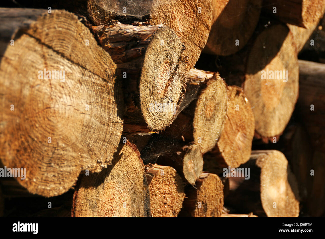 Holzsplitter hi-res stock photography and images - Alamy