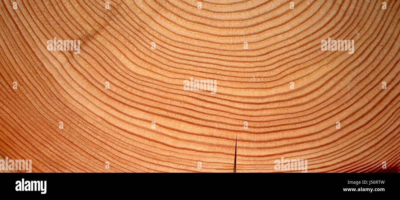 the years go fast and fetched Stock Photo - Alamy