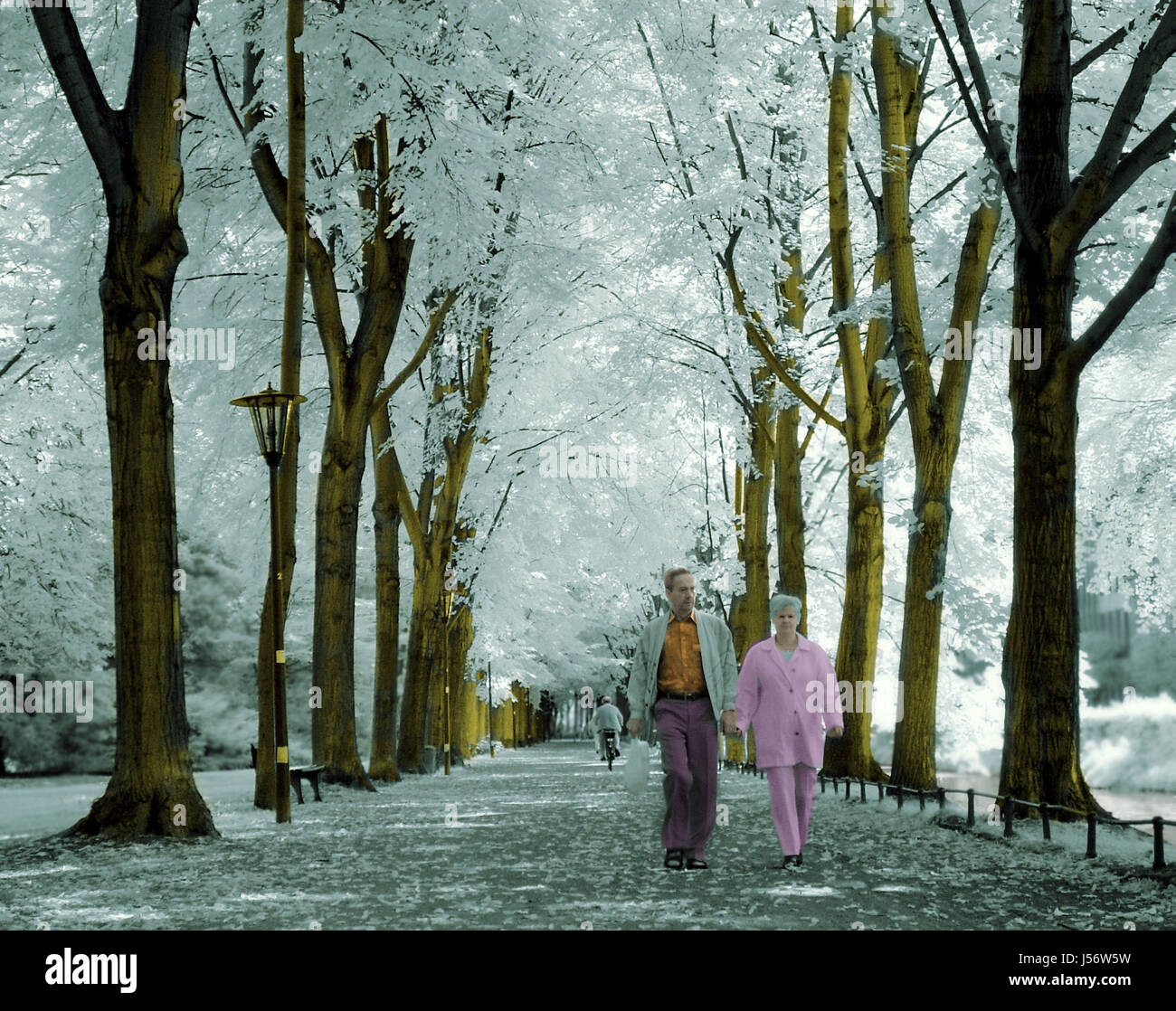 humans human beings people folk persons human human being tree trees ...