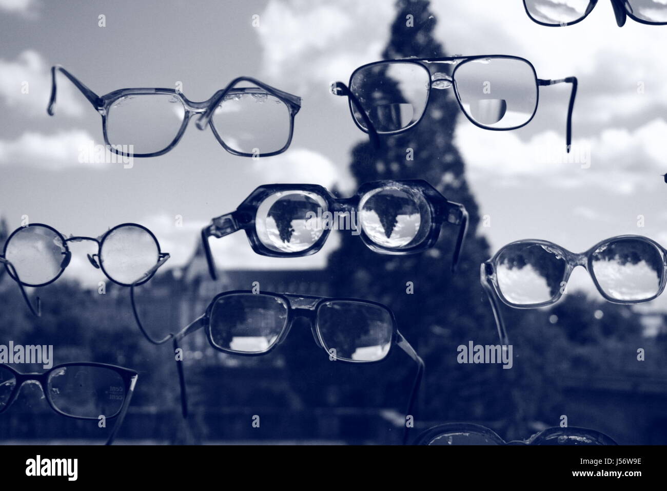 Bw tree hi-res stock photography and images - Alamy