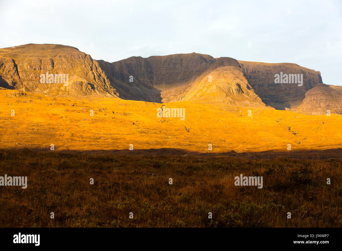 Dawn corbett hi-res stock photography and images - Alamy