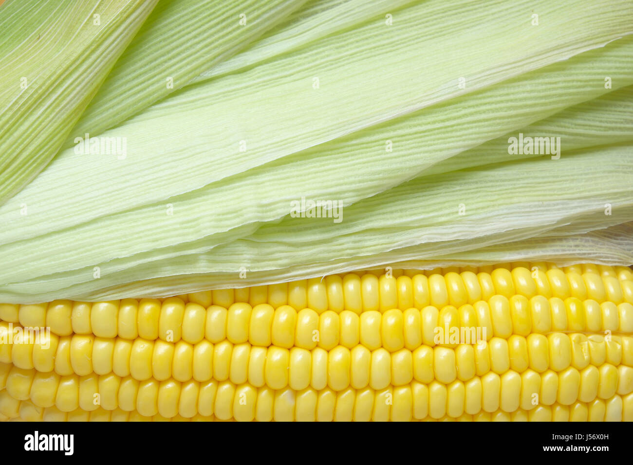 Green corn husks hi-res stock photography and images - Alamy