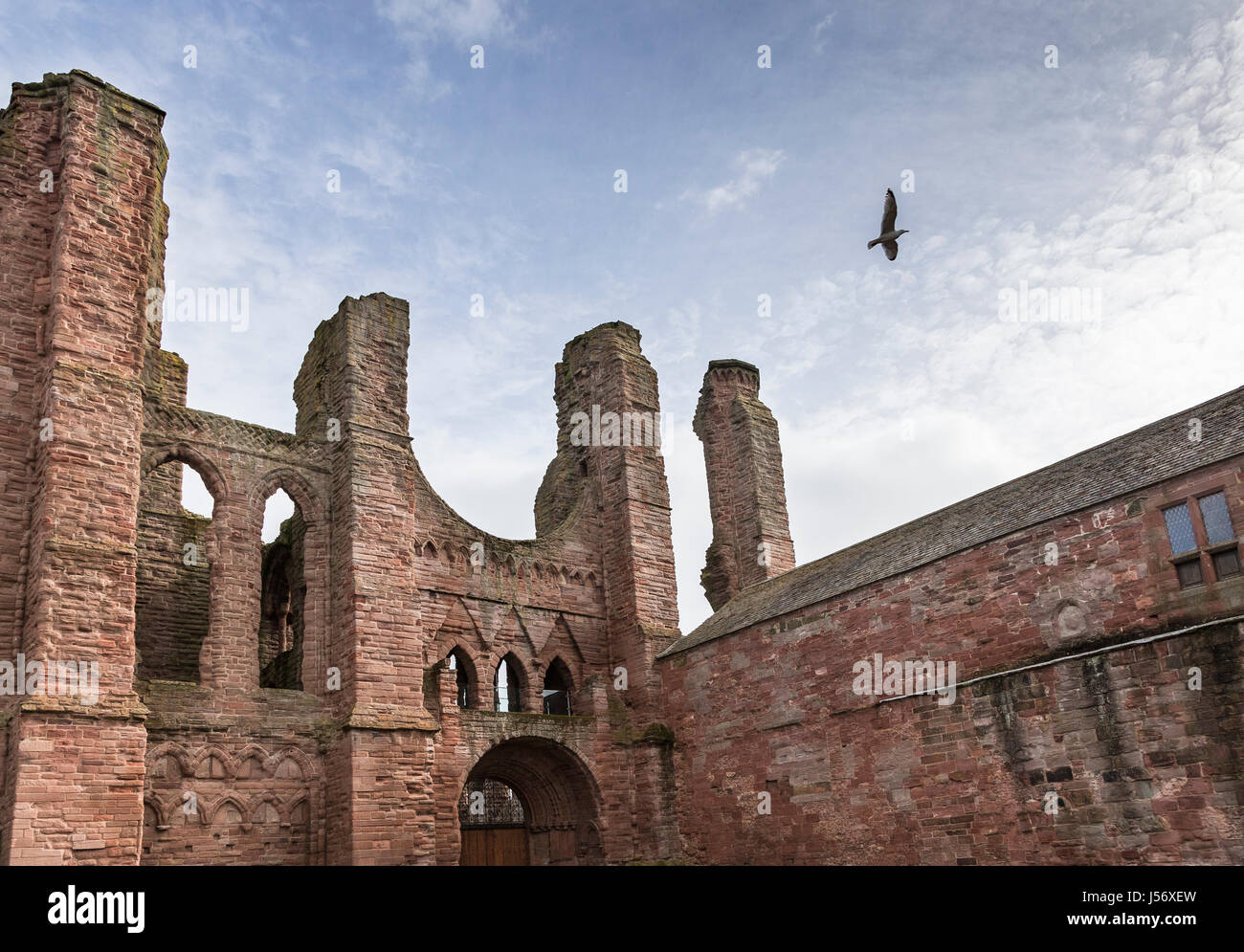 Arbroath Abbey Ruins at Arbroath in Angus , Scotland Stock Photo - Alamy