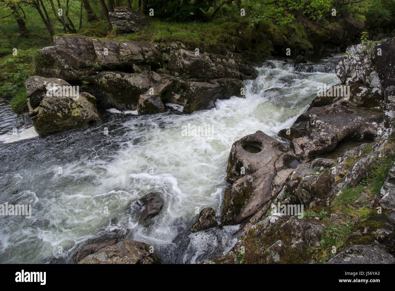 Afon Lledr (River Lledr), the river flowing through the scenic Lledr ...