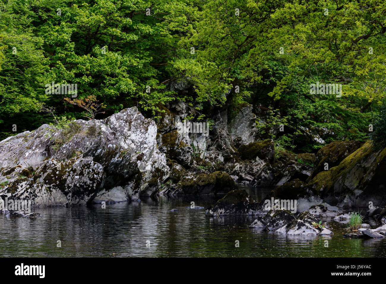 Afon Conwy below the Fairy Glen in Betws y Coed, North Wales at the ...