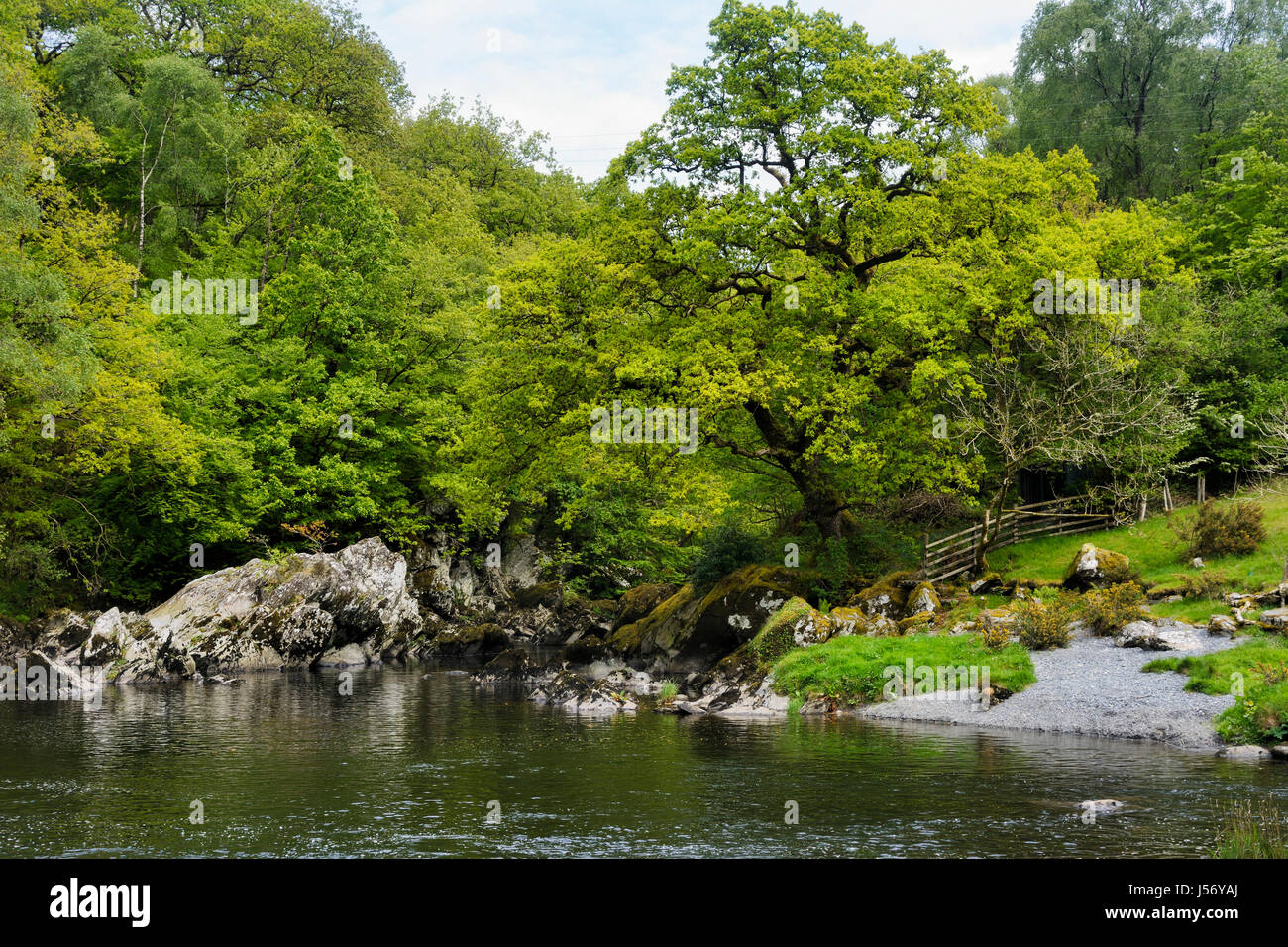 Afon Conwy below the Fairy Glen in Betws y Coed, North Wales at the ...