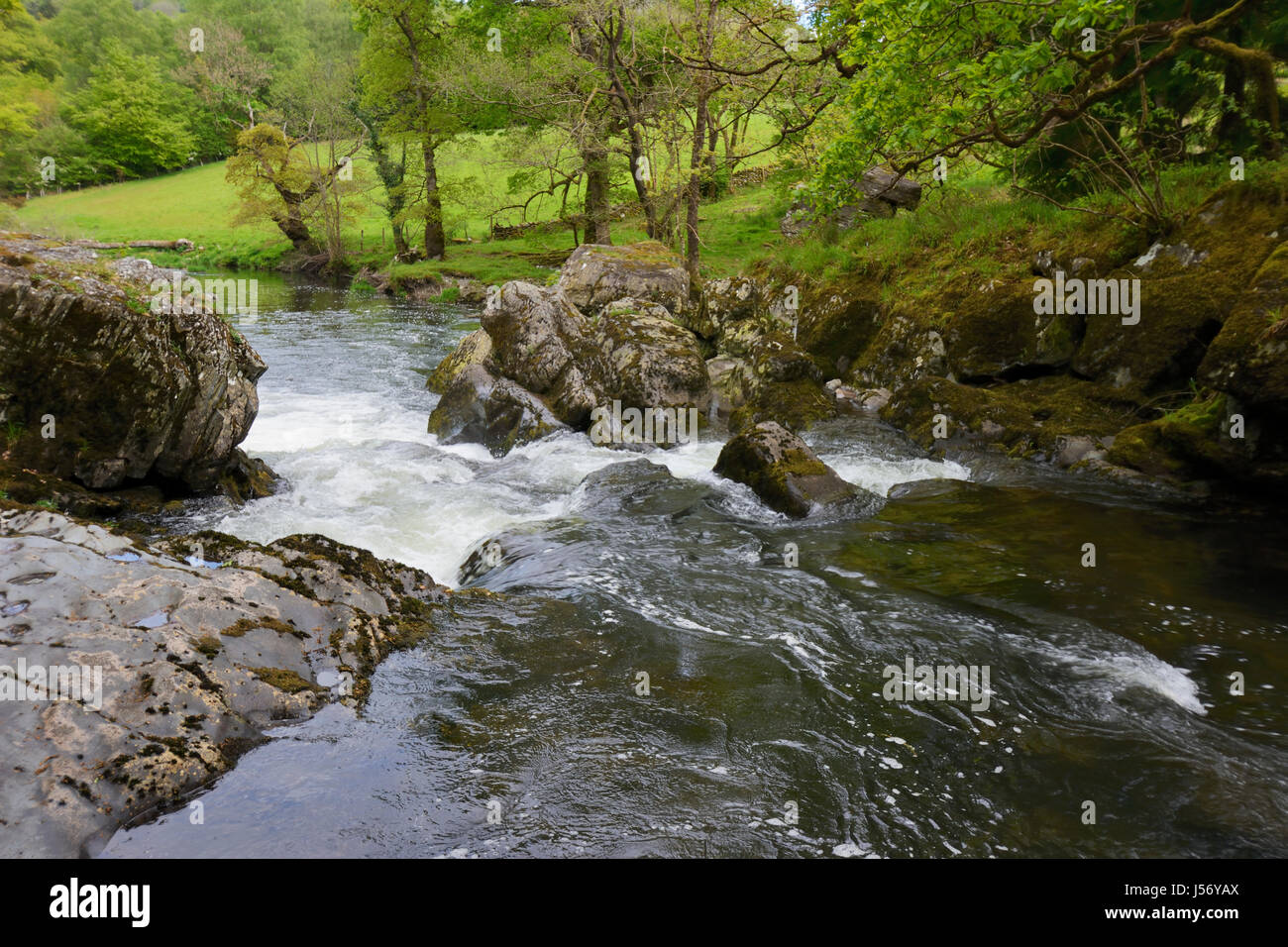 Afon Lledr (River Lledr), the river flowing through the scenic Lledr ...