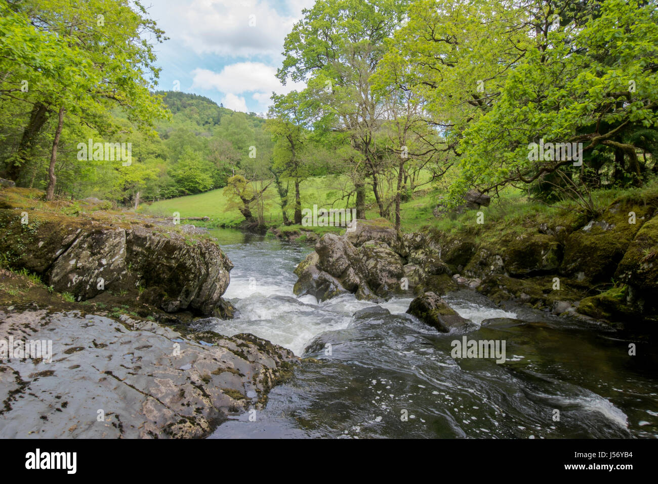 Afon Lledr (River Lledr), the river flowing through the scenic Lledr ...