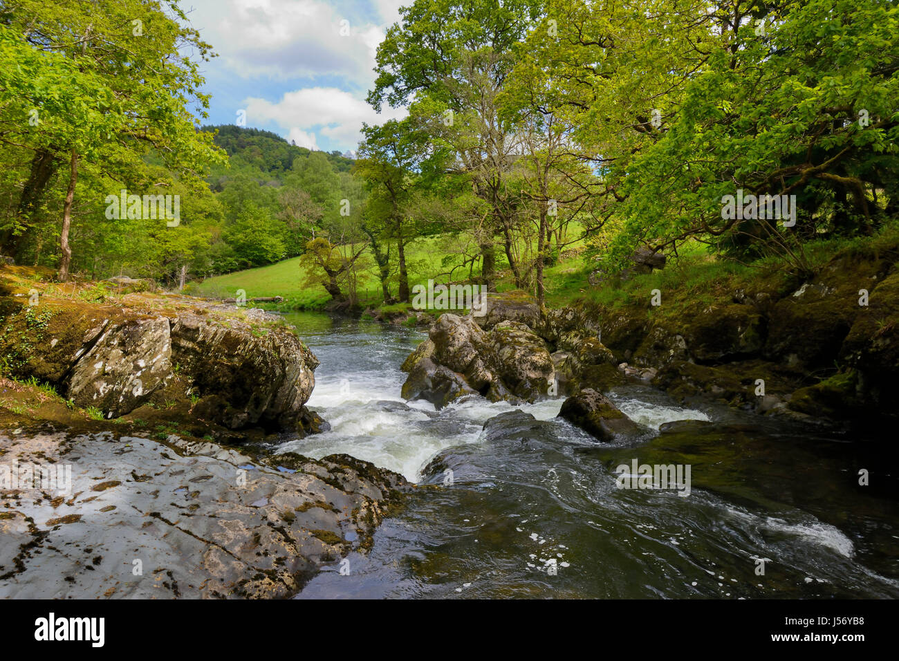 Afon Lledr (River Lledr), the river flowing through the scenic Lledr ...
