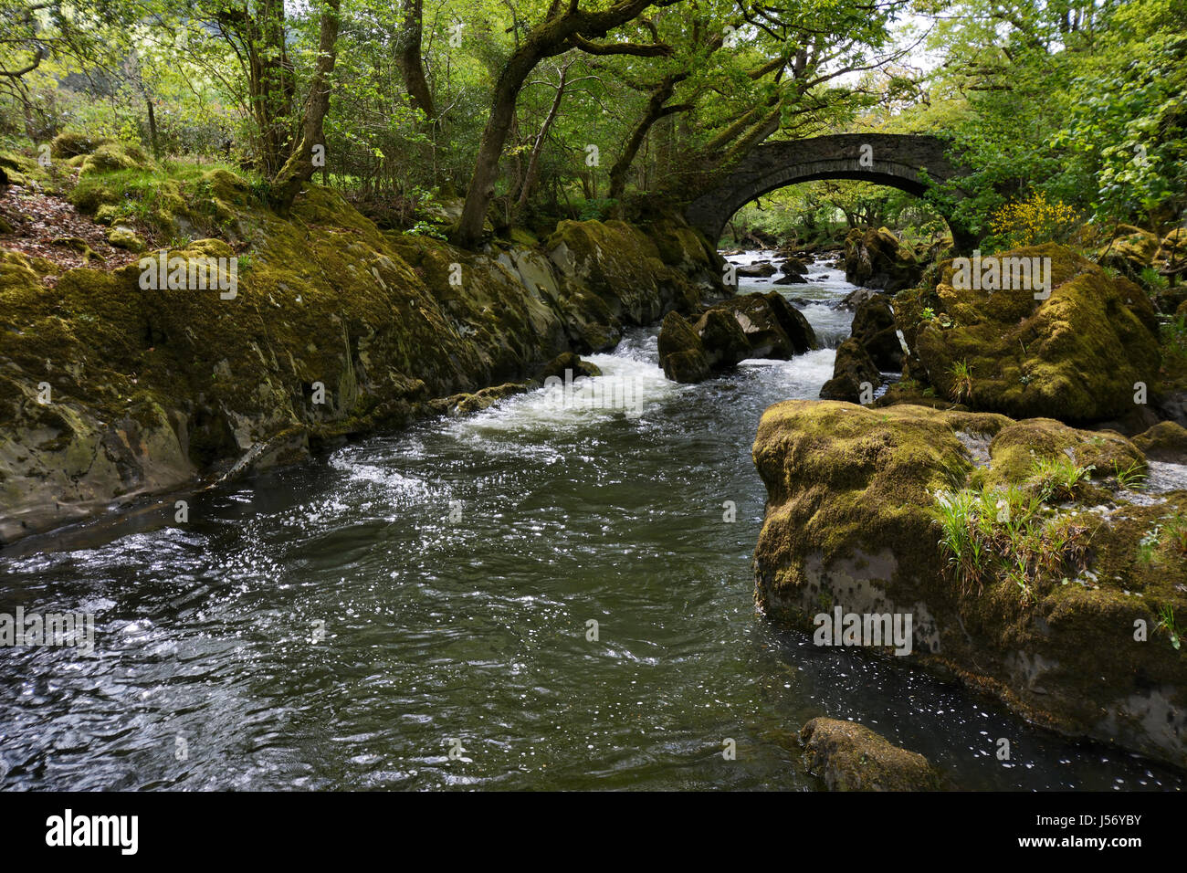 Afon Lledr (River Lledr), the river flowing through the scenic Lledr ...