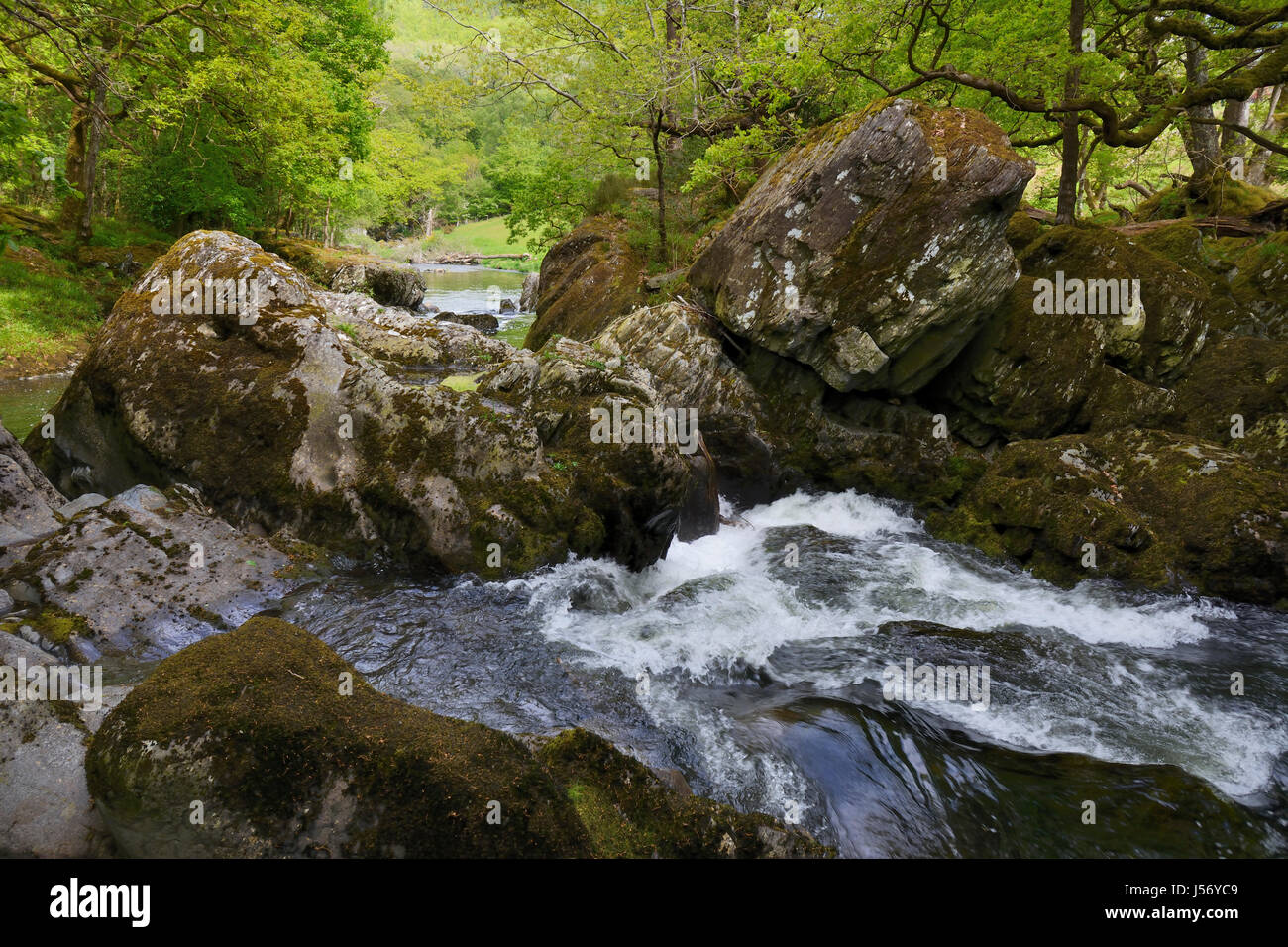 Afon Lledr (River Lledr), the river flowing through the scenic Lledr ...