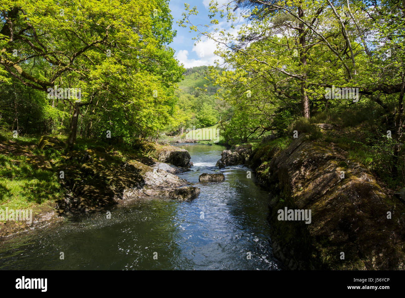 Afon Lledr (River Lledr), the river flowing through the scenic Lledr ...