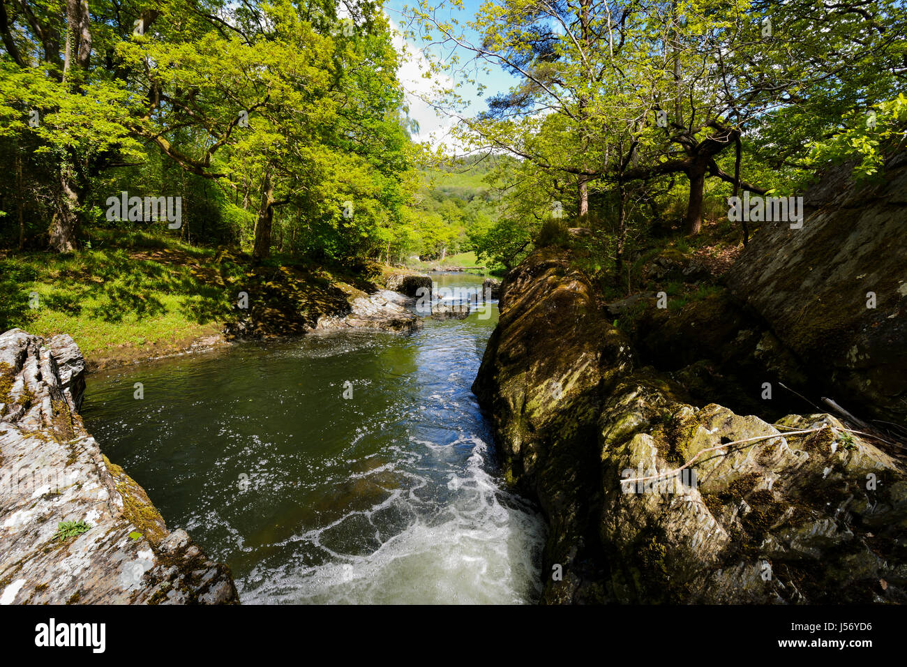 Afon Lledr (River Lledr), the river flowing through the scenic Lledr ...