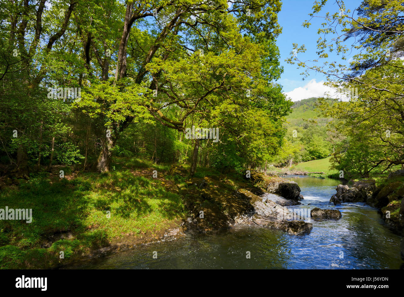 Afon Lledr (River Lledr), the river flowing through the scenic Lledr ...