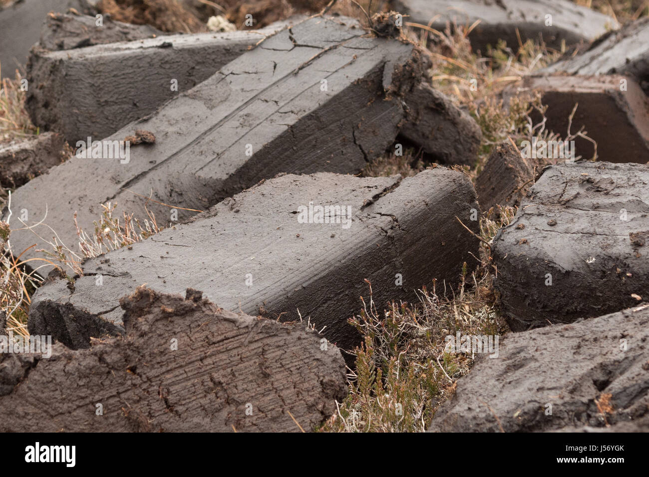 Peat cut close hi-res stock photography and images - Alamy