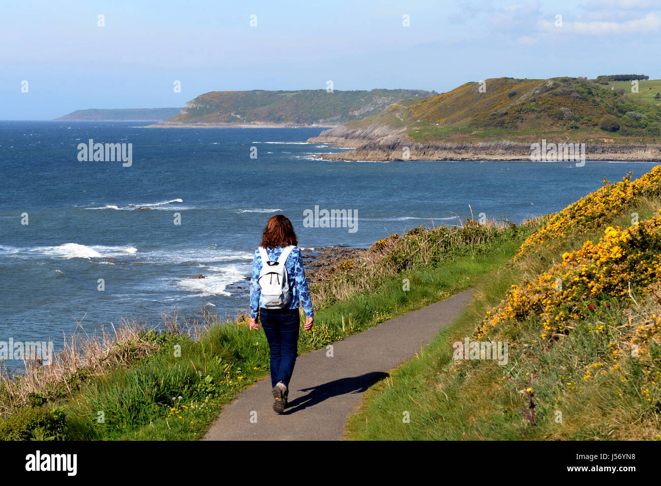 Gower coast walks hi-res stock photography and images - Alamy