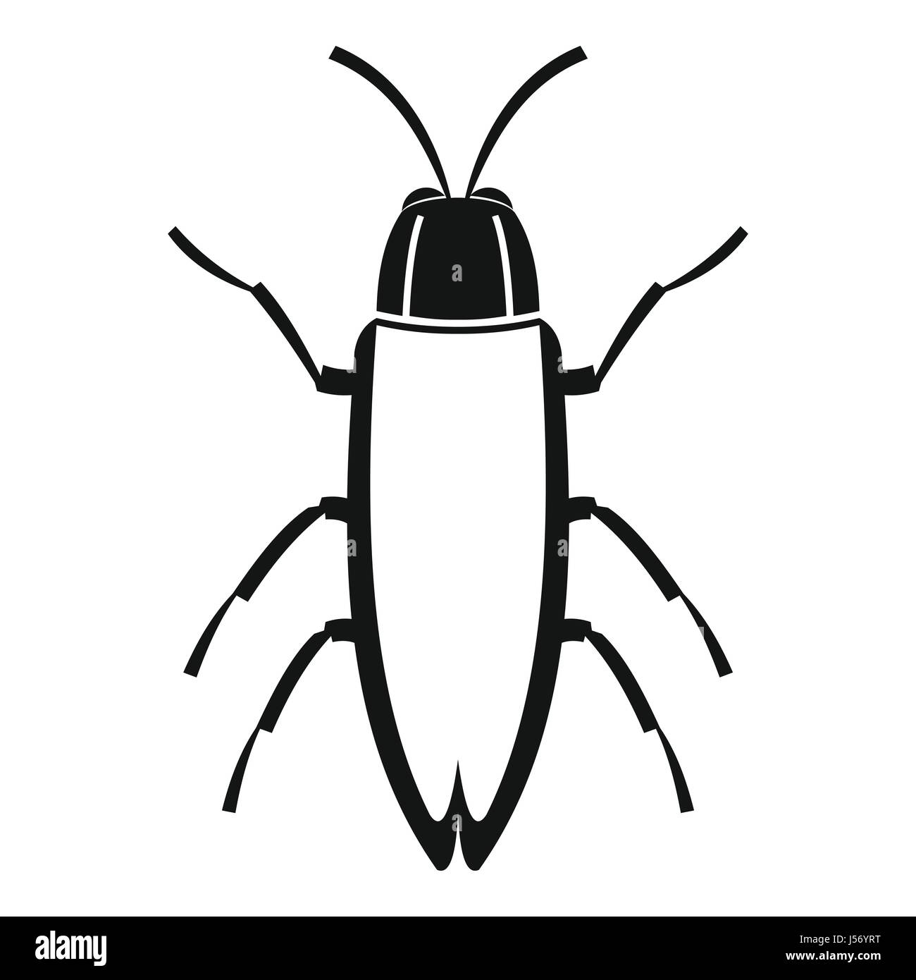 Cockroach detail Cut Out Stock Images & Pictures - Alamy