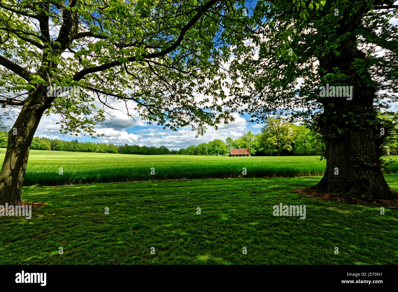 The Shobdon estate in Herefordshire contains a fascinating white church ...