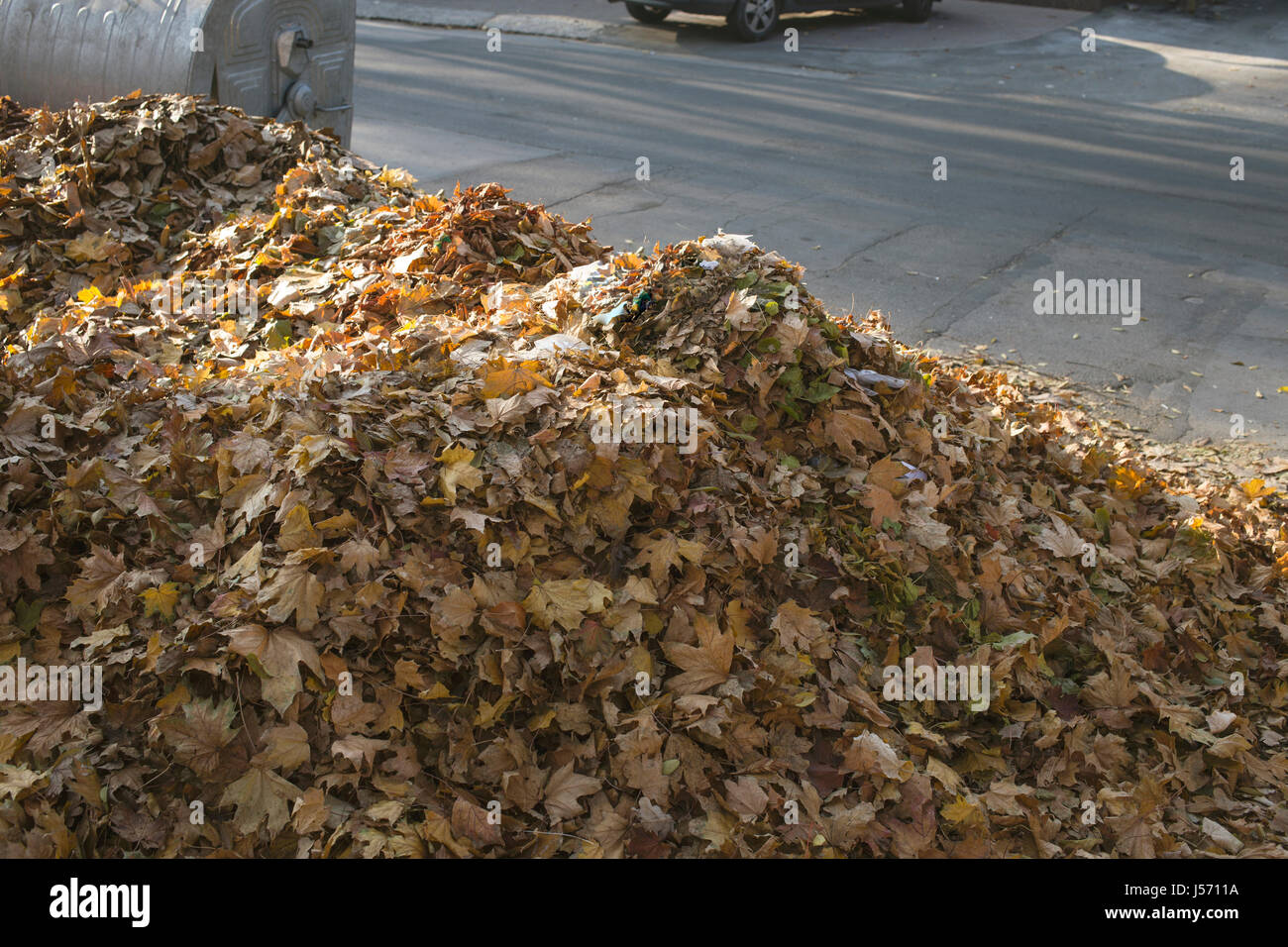 Piles of litter. Dead leaves in the city streets Stock Photo - Alamy