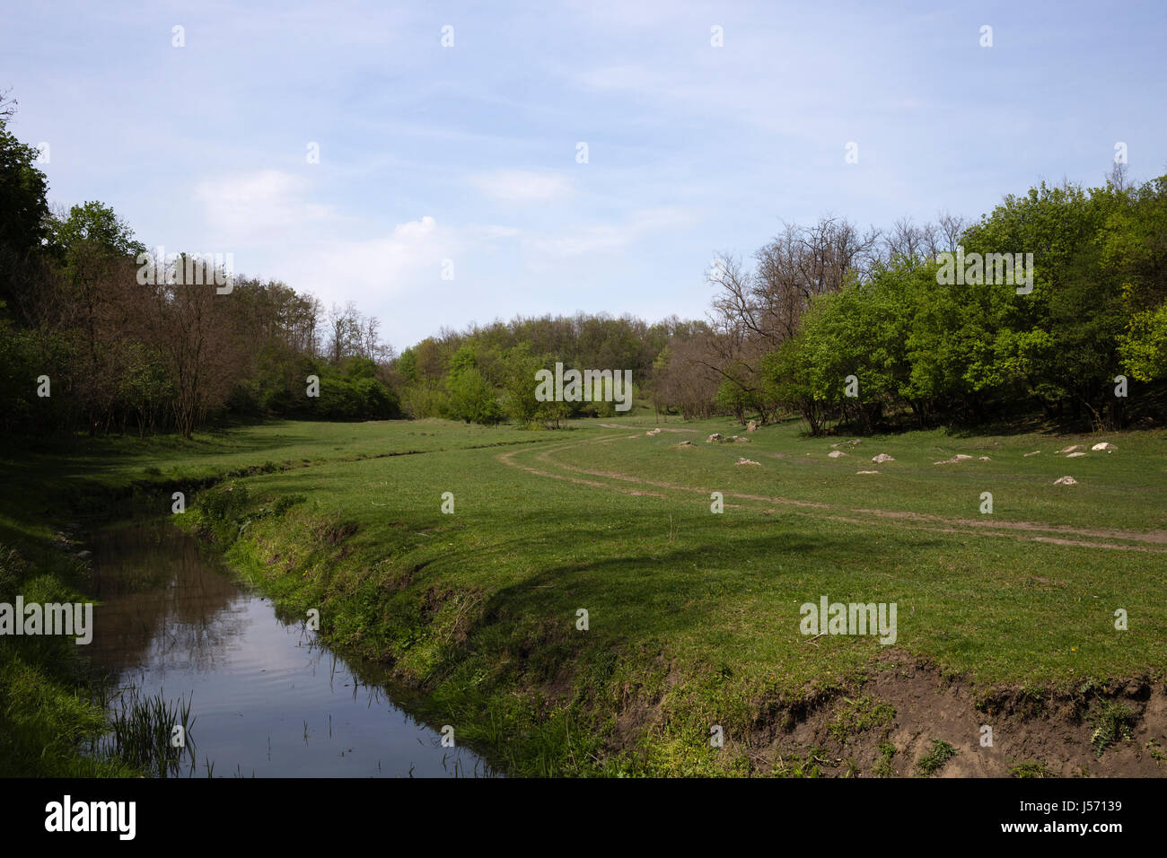 Beautiful forest view hi-res stock photography and images - Alamy