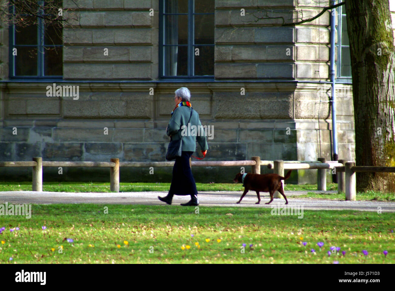 wheelchair grandpa grandfather granny grandchildren defect crutches ...