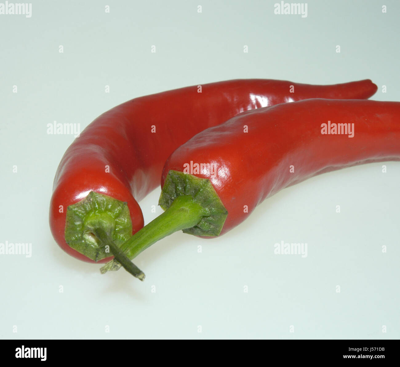 fire conflagration trenchantly fiery sharpness pepperoni spice chilli ...