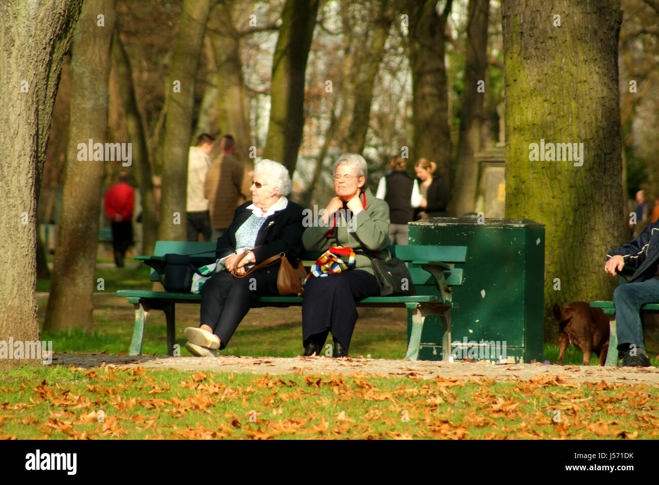 wheelchair grandpa grandfather granny grandchildren defect crutches ...
