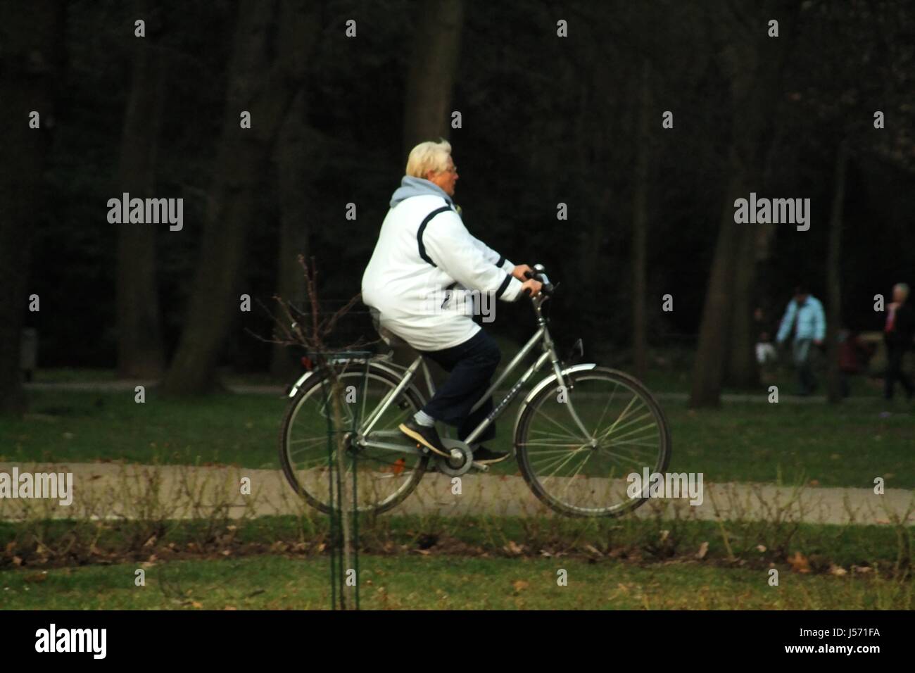wheelchair grandpa grandfather granny grandchildren defect crutches ...