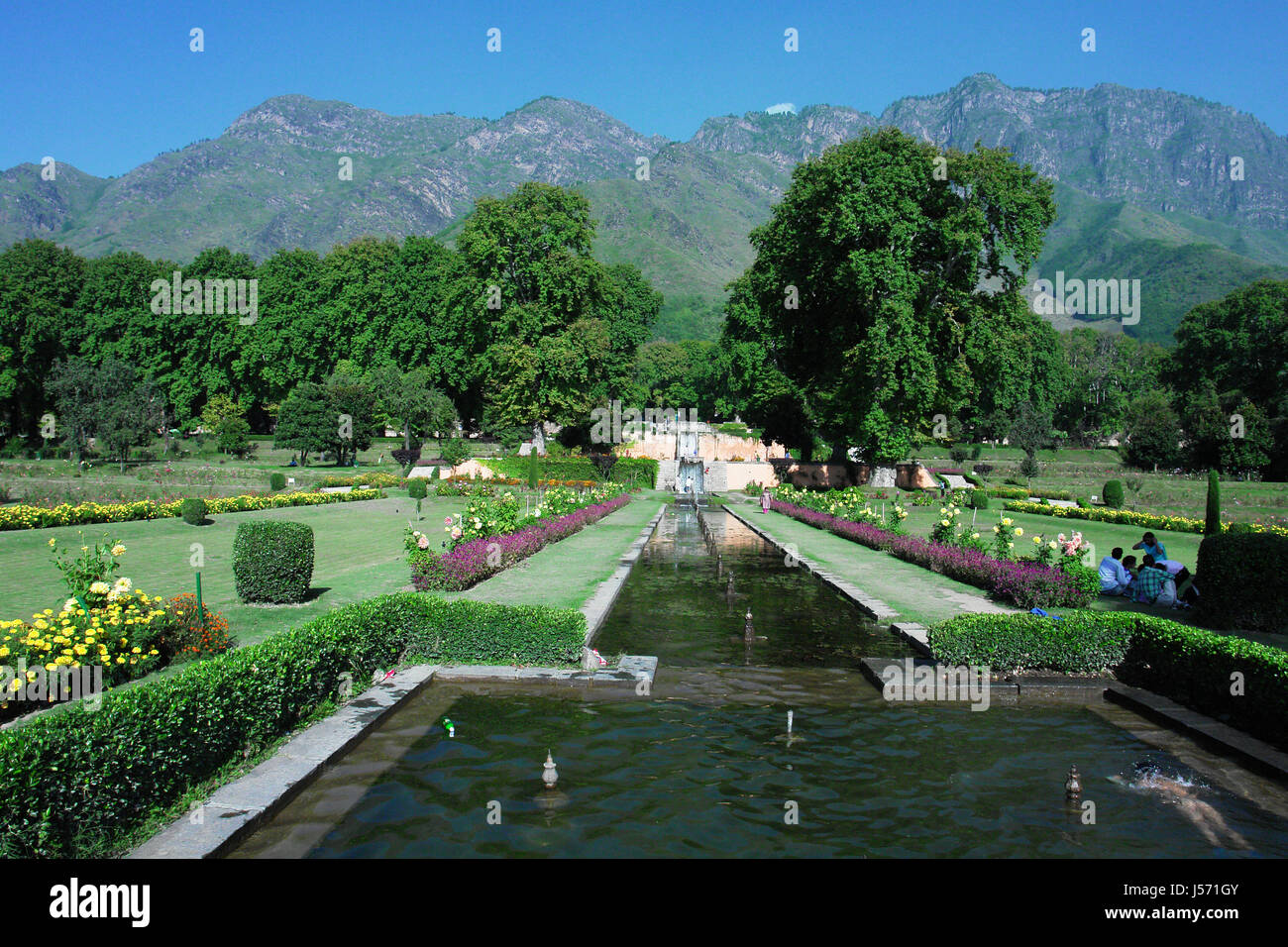 Mughal Gardens In Kashmir