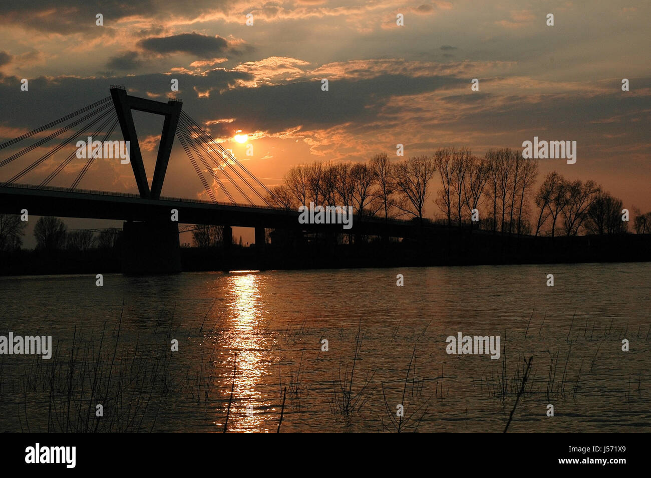 bridge,rhine,sunset,romanticism,in the evening,water,nature Stock Photo ...