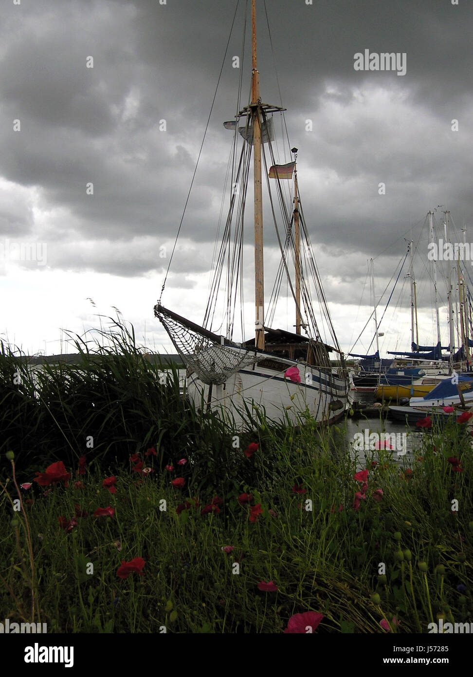 flower flowers plant harbor harbours sailing boat sailboat rigging ...