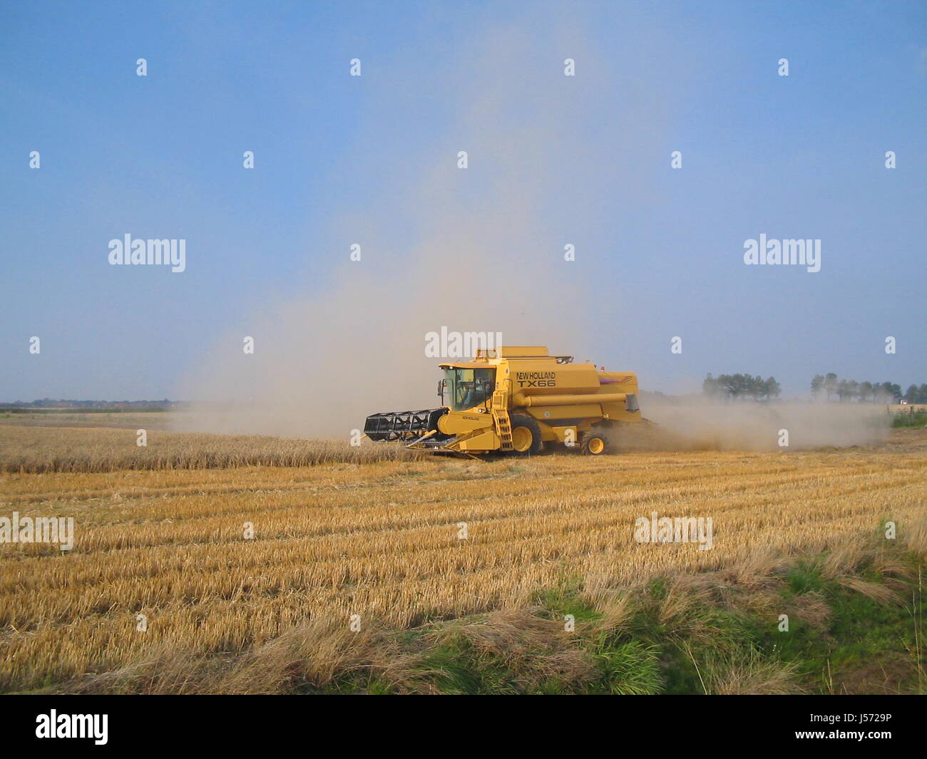 dust agriculture farming wheat meadow grass lawn green harvest ...