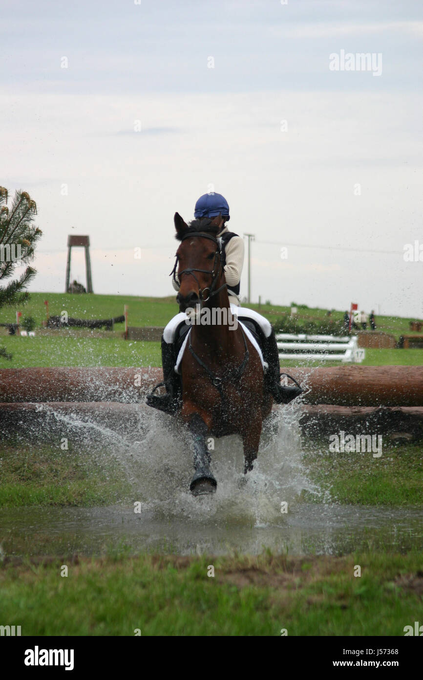 ride horse spring bouncing bounces hop skipping frisks jumping jump ...